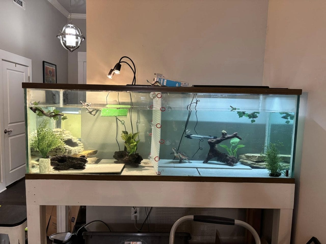 How to Create the Perfect Turtle Tank (Avoid These Common Mistakes ...