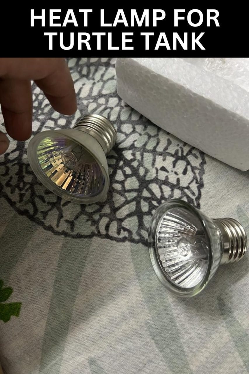 Turtle Basking Lights 101: The Simple Setup Every Beginner Needs – The ...