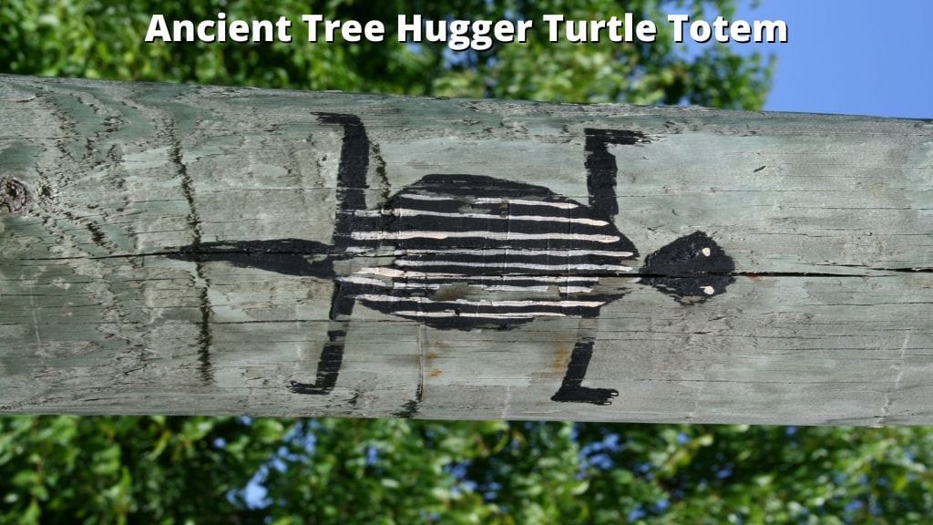 Discover the Hidden Meanings of Turtle Symbols and Their Power! – The ...