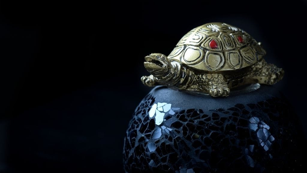 Discover the Hidden Meanings of Turtle Symbols and Their Power! – The ...