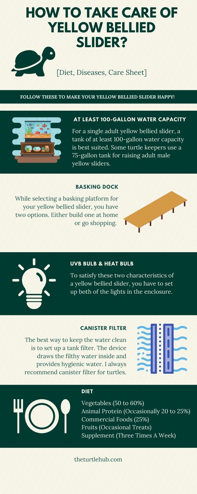 How To Take Care Of Yellow Bellied Slider Turtle Infographic – The ...