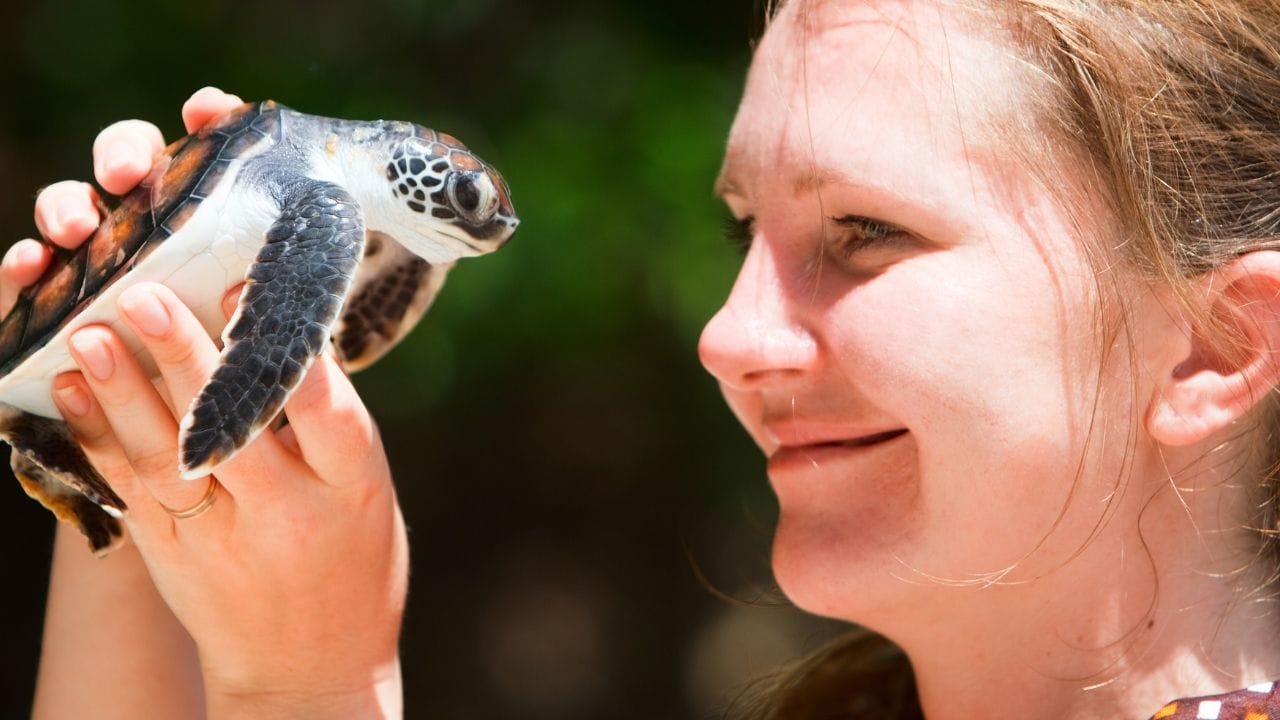 The Surprising Benefits of Adopting a Sea Turtle Without Leaving Home ...