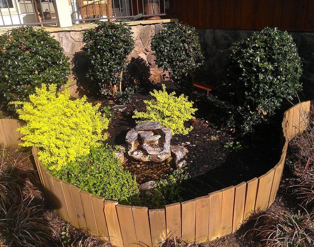 How to Build the Ultimate Outdoor Box Turtle Habitat (Step-by-Step ...