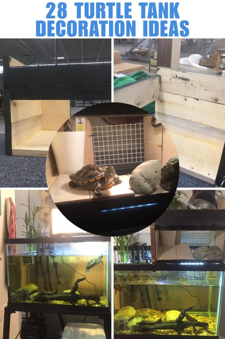 28 Turtle Tank Decoration Ideas You & Your Turtle Will Love – The ...
