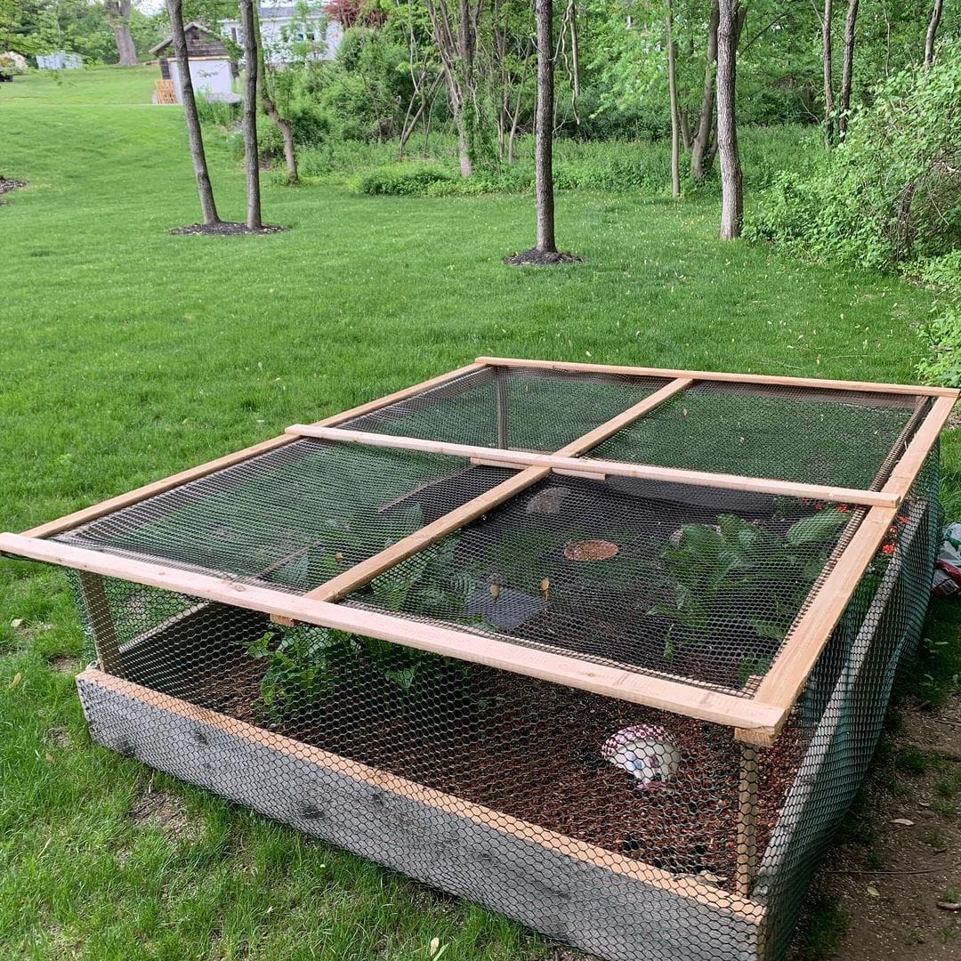 30 DIY Tortoise Enclosure Ideas For A Natural Haven – The Turtle Hub