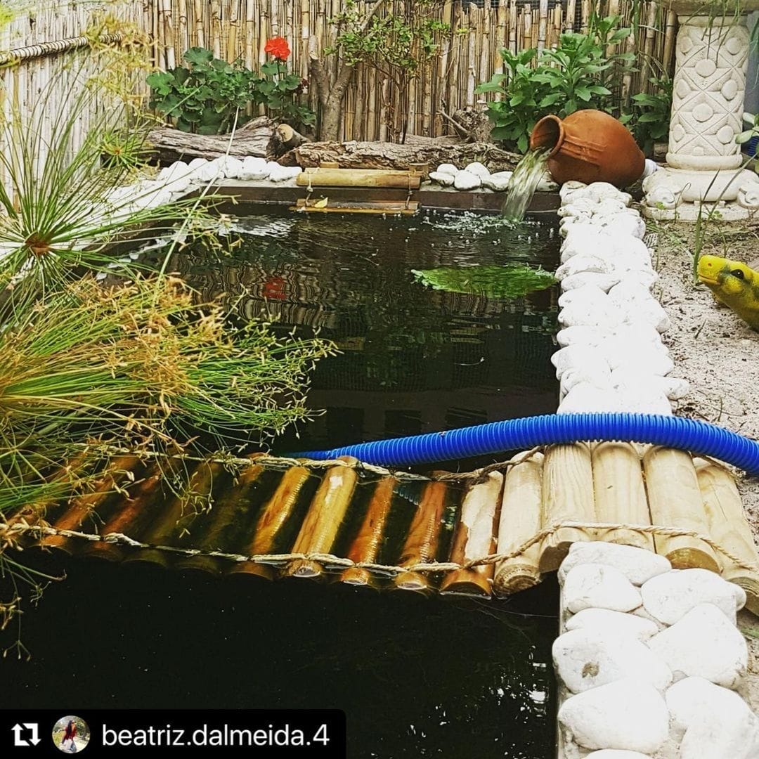 20 DIY Ideas For An Outdoor Turtle Habitat [Turtle Paradise] – The ...