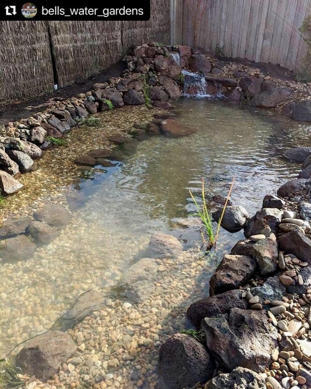 20 DIY Ideas For An Outdoor Turtle Habitat [Turtle Paradise] – The ...