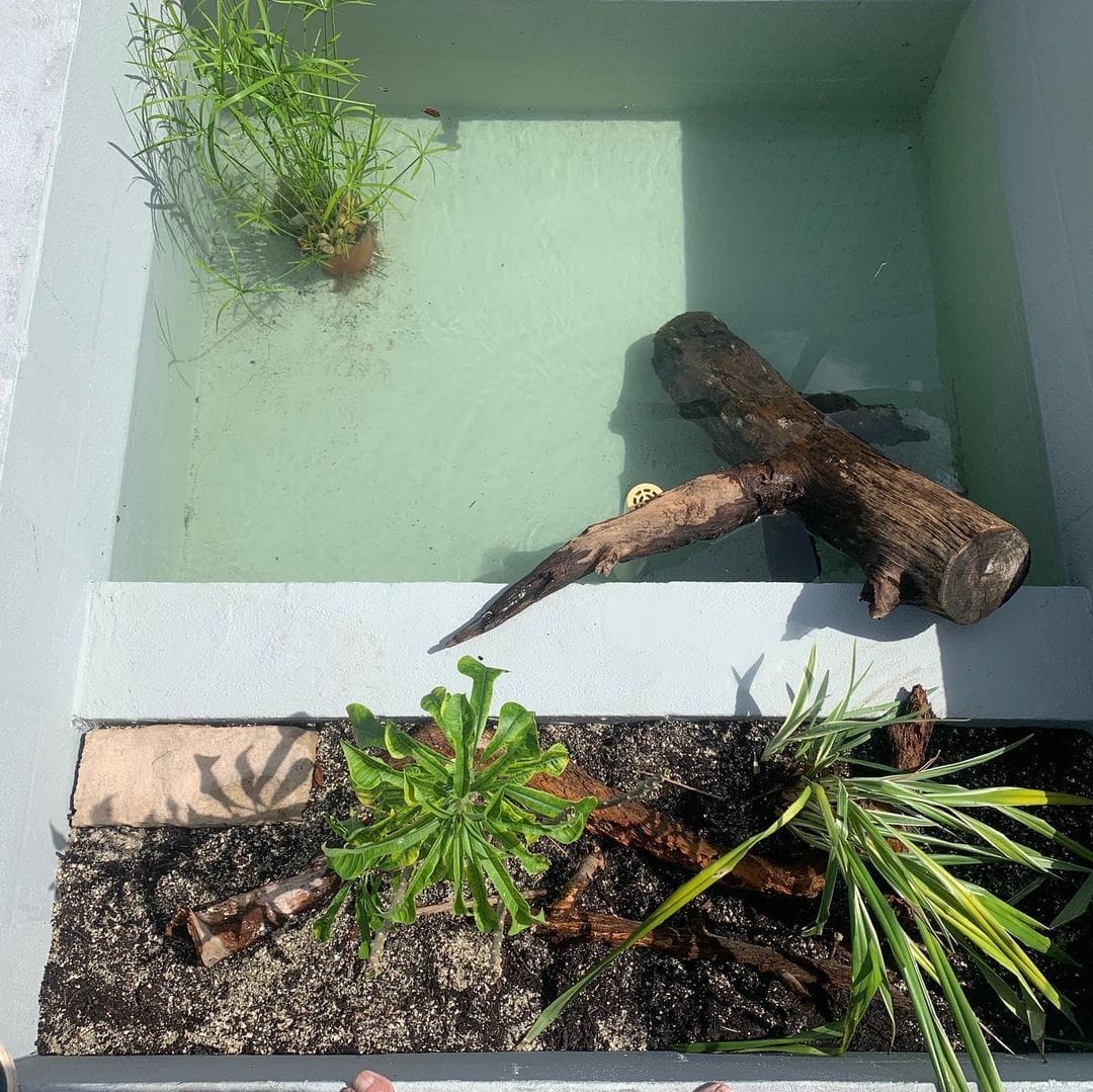 20 DIY Ideas For An Outdoor Turtle Habitat [Turtle Paradise] – The ...