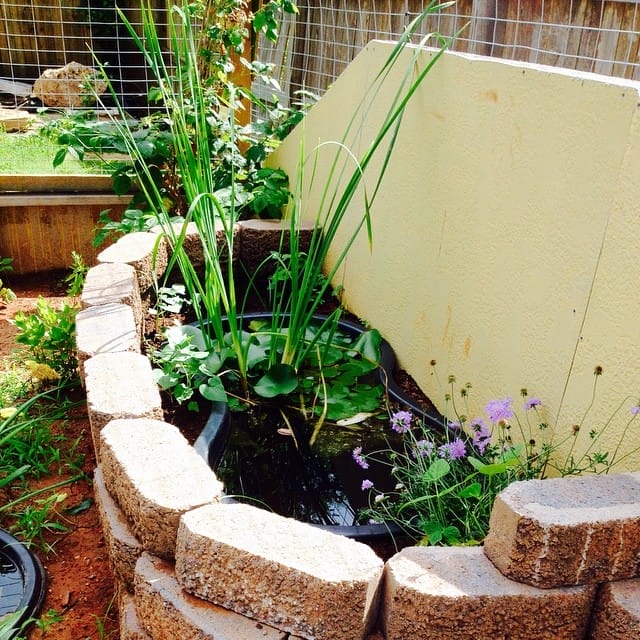 20 DIY Ideas For An Outdoor Turtle Habitat [Turtle Paradise] – The ...