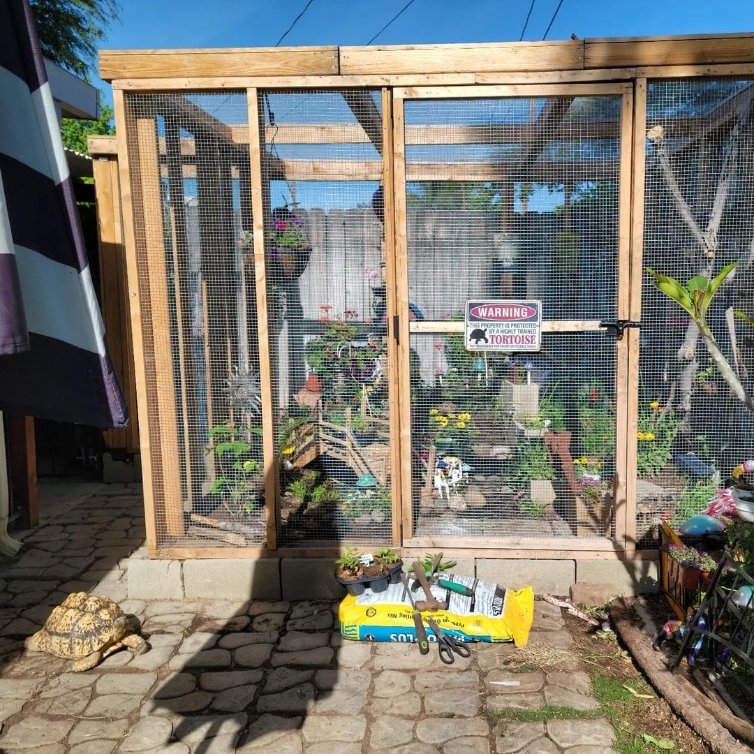 30 DIY Tortoise Enclosure Ideas For A Natural Haven – The Turtle Hub