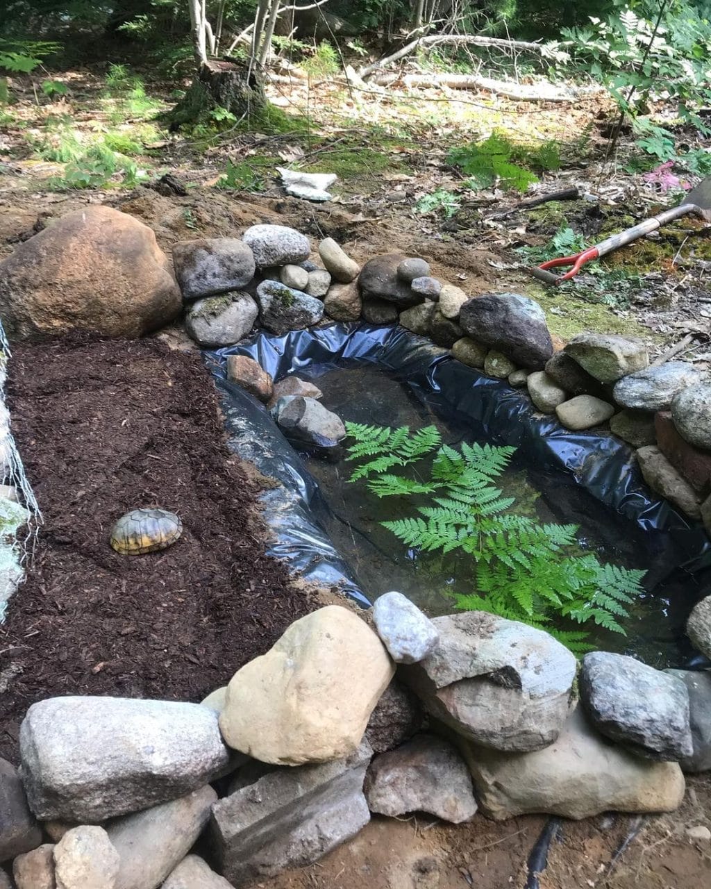 20 DIY Ideas For An Outdoor Turtle Habitat [Turtle Paradise] – The ...