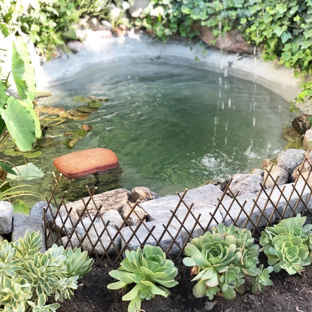 20 DIY Ideas For An Outdoor Turtle Habitat [Turtle Paradise] – The ...
