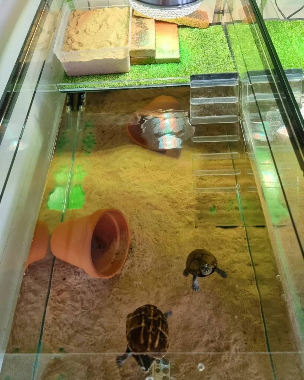 21 DIY Turtle Tank Ideas For Happy Turtles [Budget-Friendly] – The ...