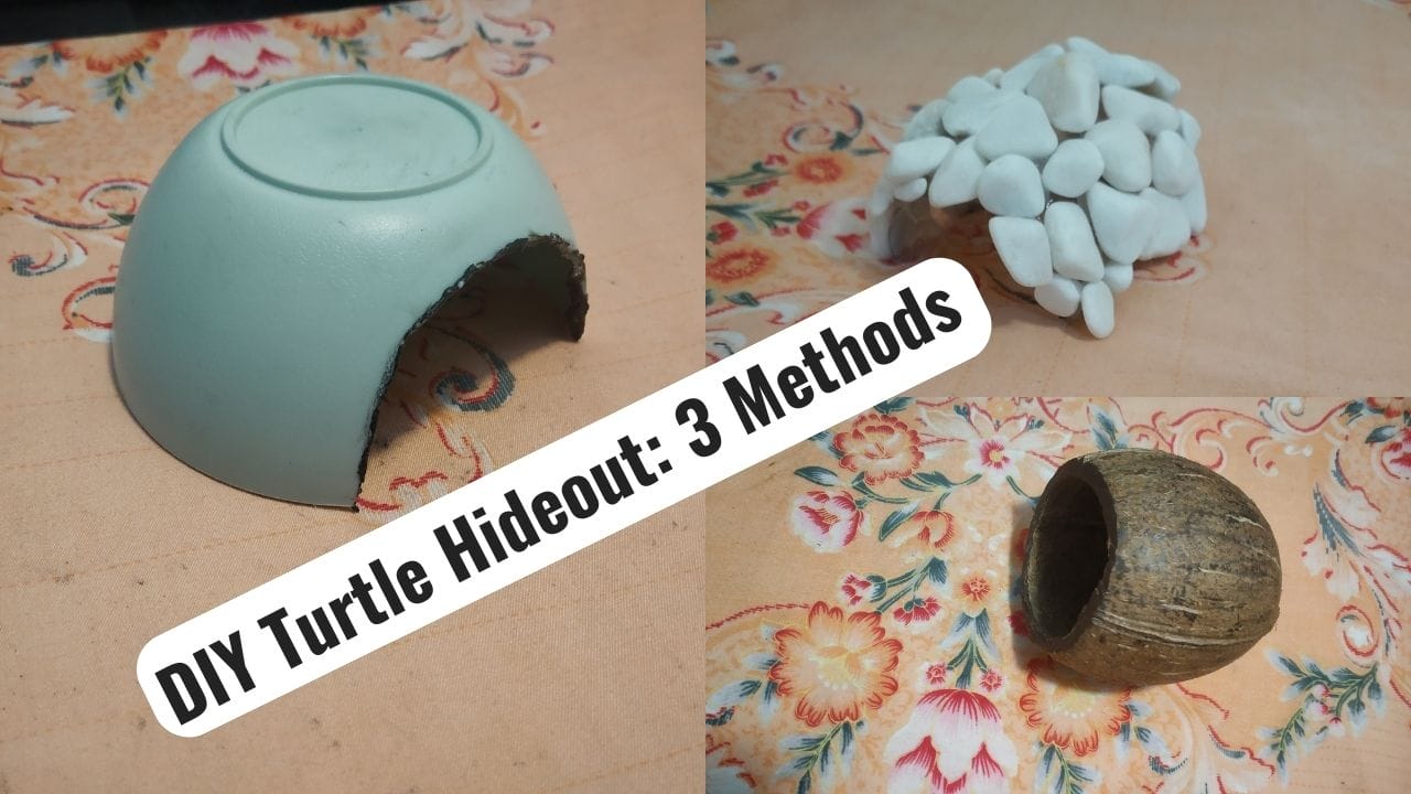 DIY – The Turtle Hub