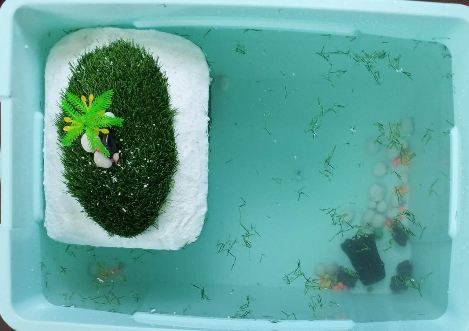 DIY Turtle Basking Area : 4 Methods (Steps With Pictures) – The Turtle Hub