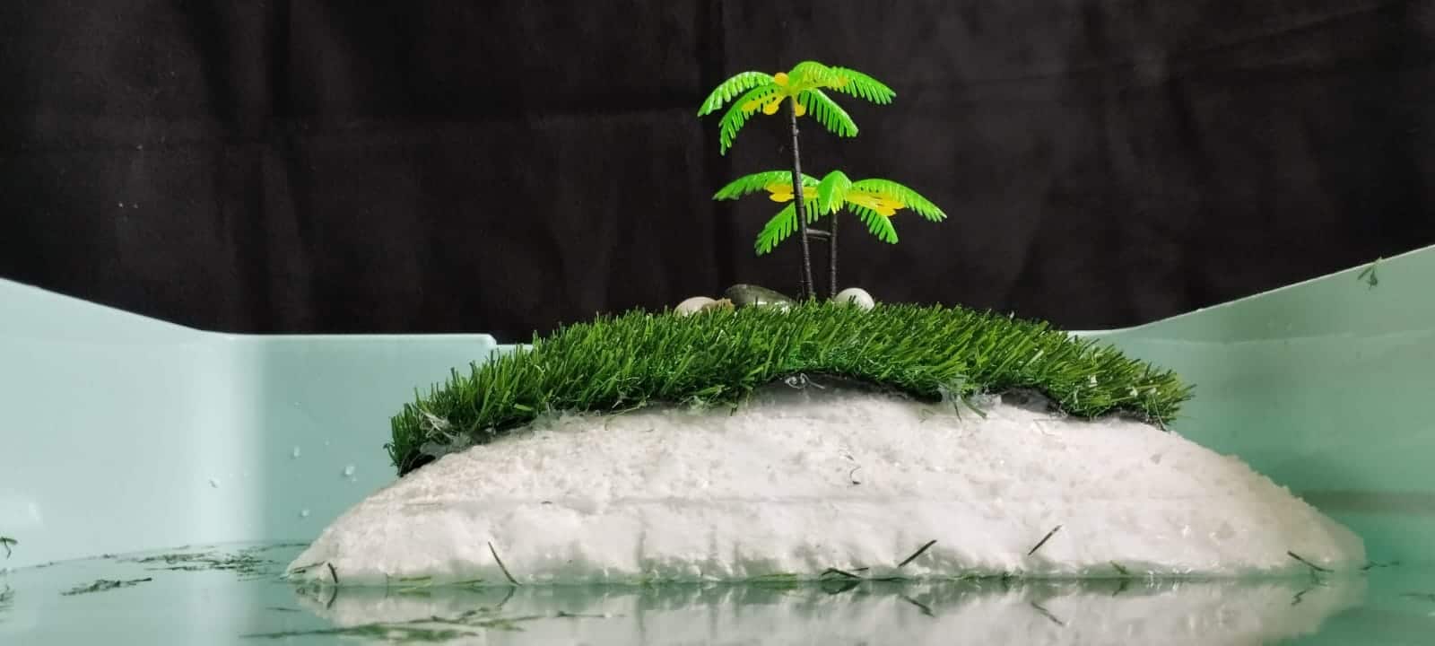 DIY Turtle Basking Area : 4 Methods (Steps With Pictures) – The Turtle Hub