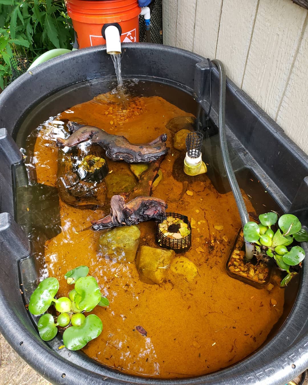 21 DIY Turtle Tank Ideas For Happy Turtles [Budget-Friendly] – The ...