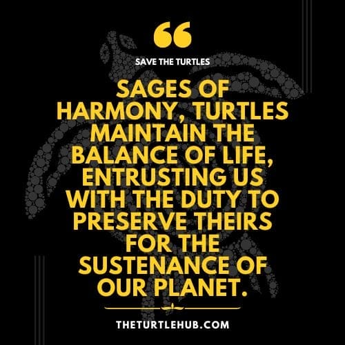 150 Turtle Quotes: Motivational, Inspirational, Cute, Funny, Love, Sea ...