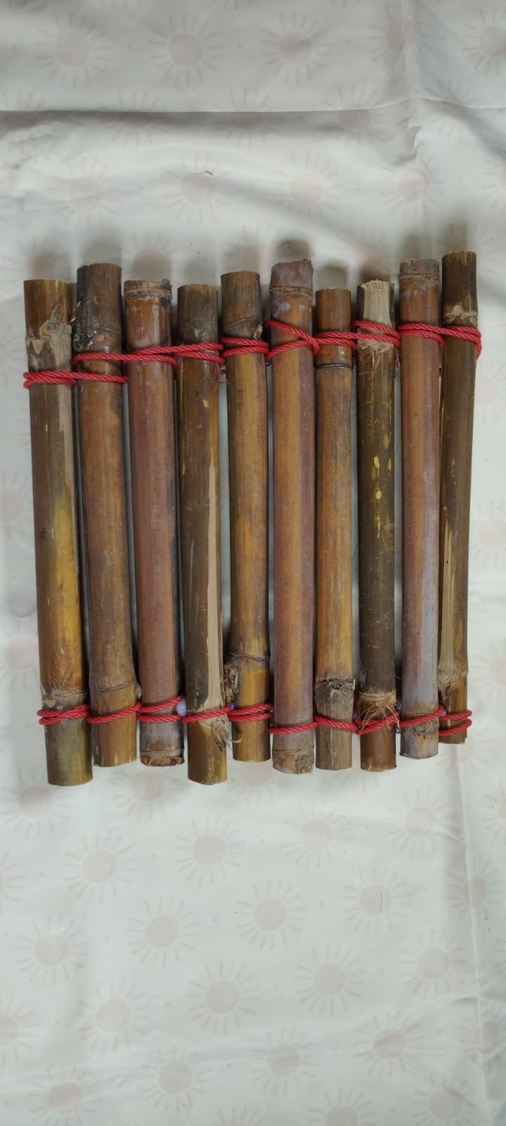 DIY Turtle Basking Area : 4 Methods (Steps With Pictures) – The Turtle Hub