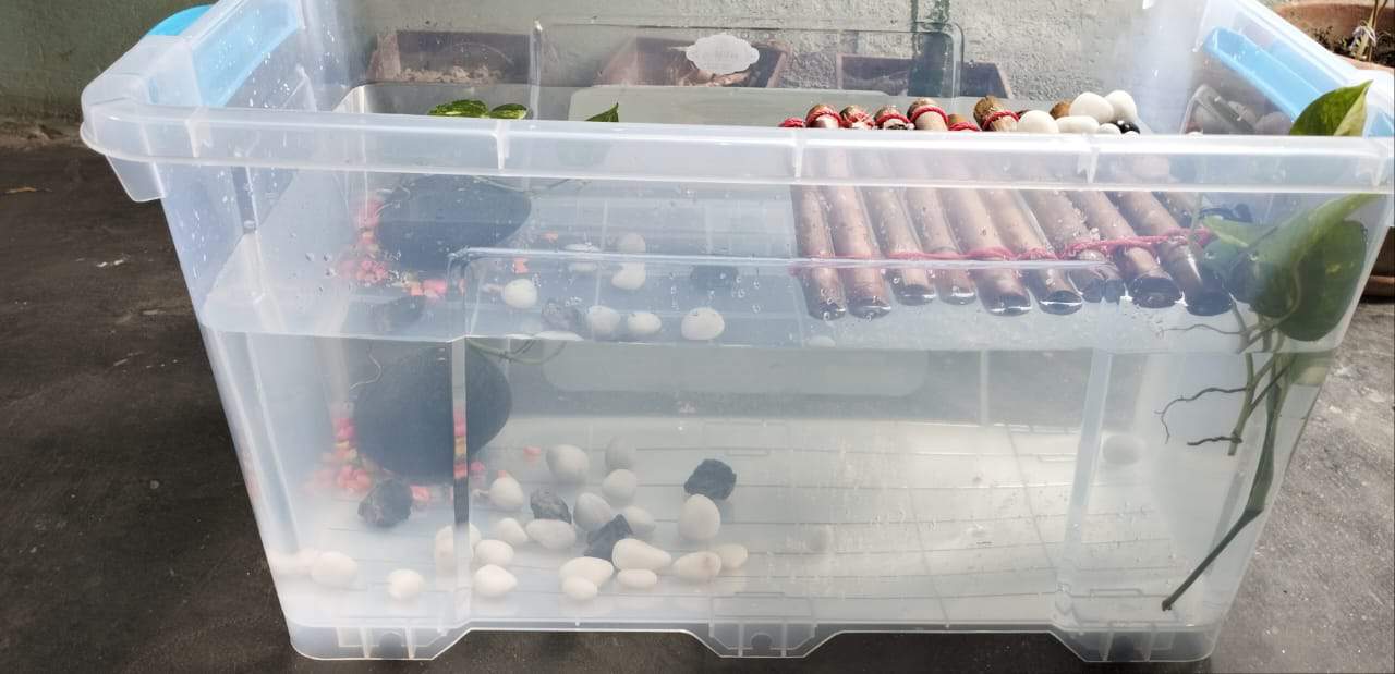 DIY Turtle Basking Area : 4 Methods (Steps With Pictures) – The Turtle Hub