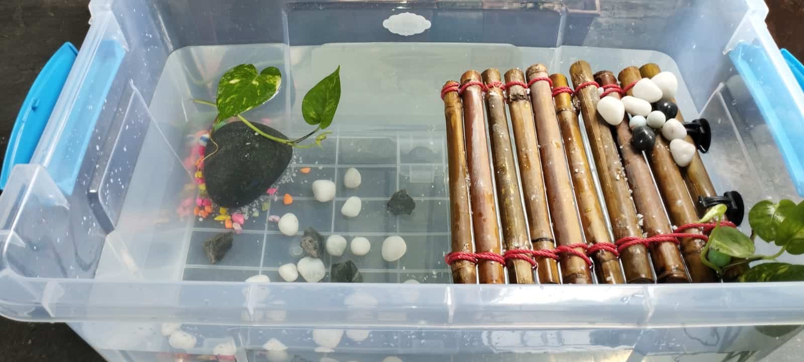 DIY Turtle Basking Area : 4 Methods (Steps With Pictures) – The Turtle Hub