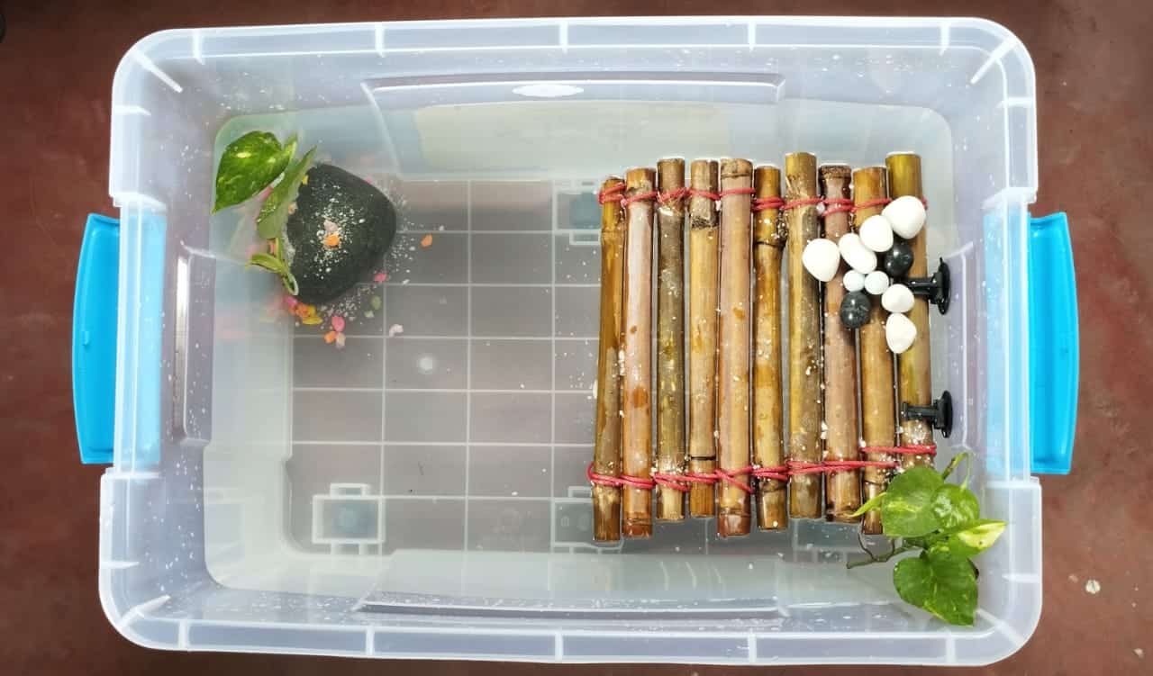 26 DIY Turtle Basking Area Ideas For A Perfect Sunning Spot – The ...