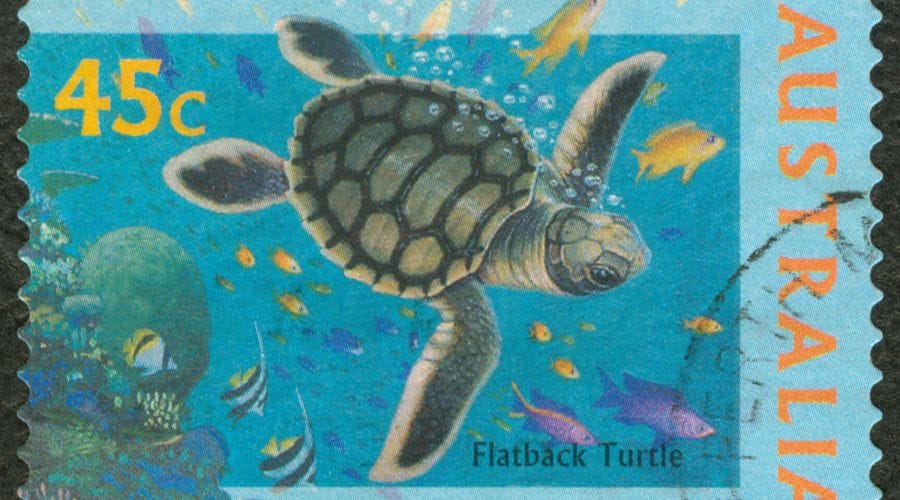 Turtles & Tortoises In Chinese Culture: Art, Symbolism, History – The ...