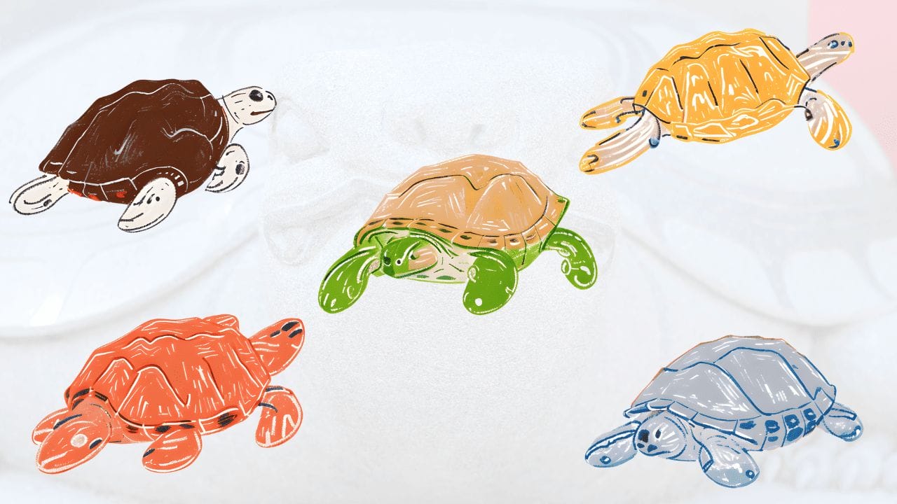 Origin & History Of Turtles: Ancient Myth To Modern Science – The ...