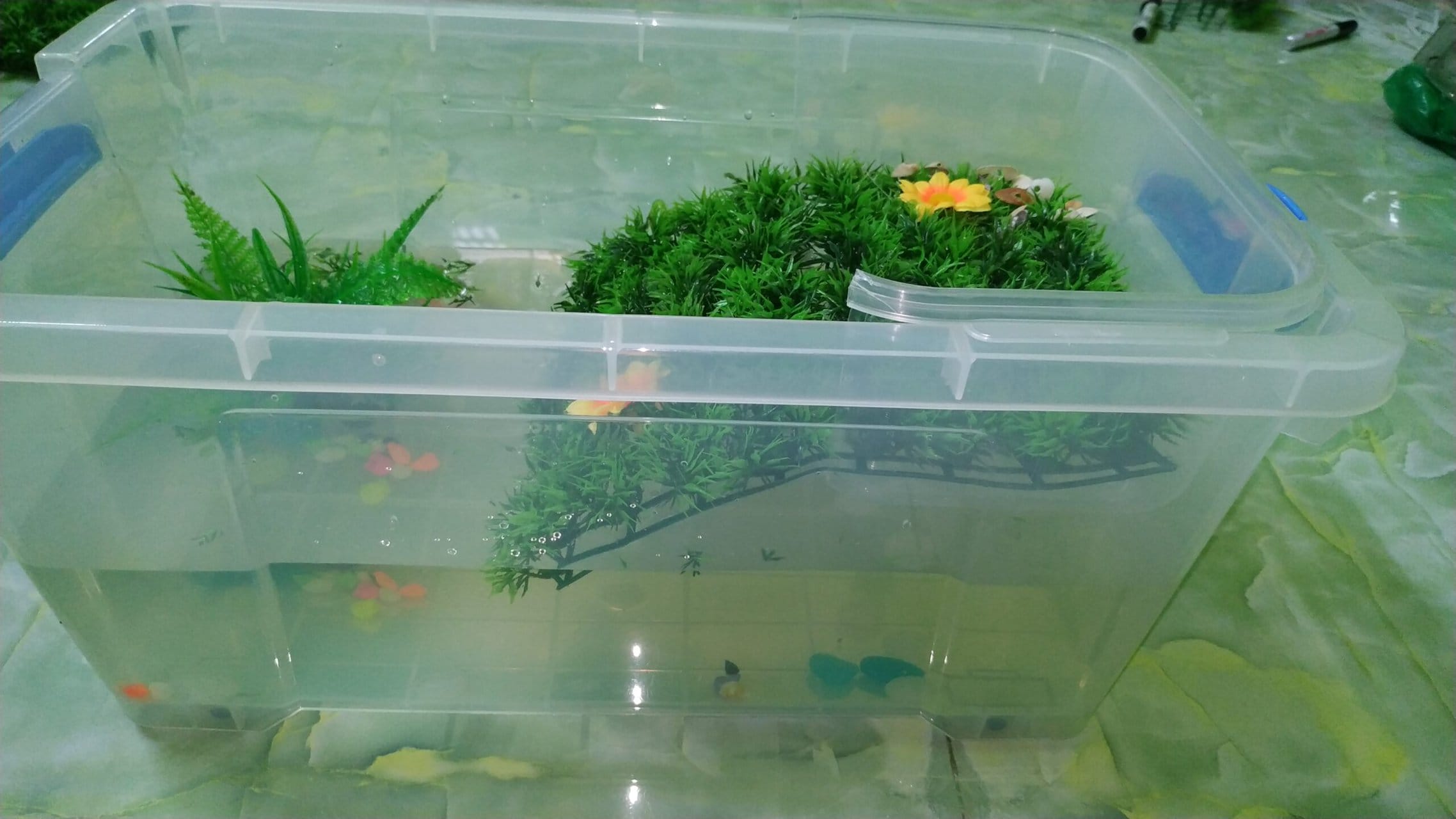 DIY Turtle Basking Area : 4 Methods (Steps With Pictures) – The Turtle Hub