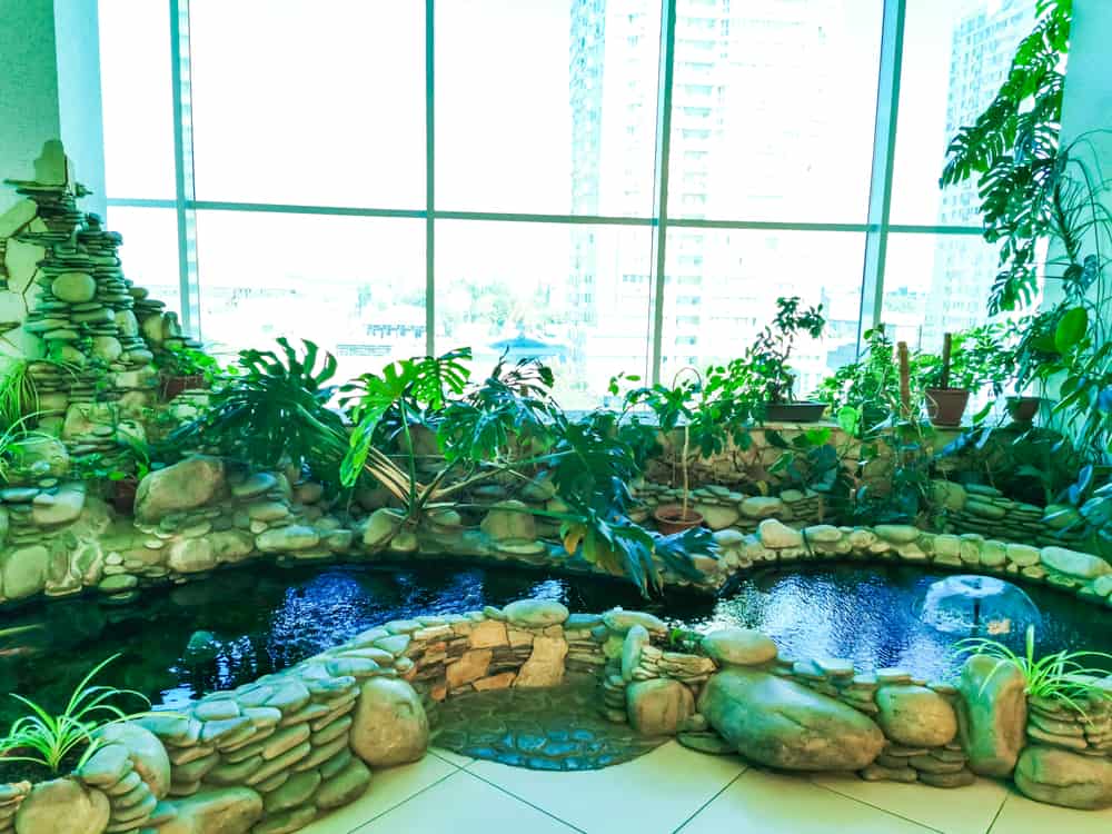 How Do You Make An Indoor Turtle Pond? [Step By Step Instructions ...