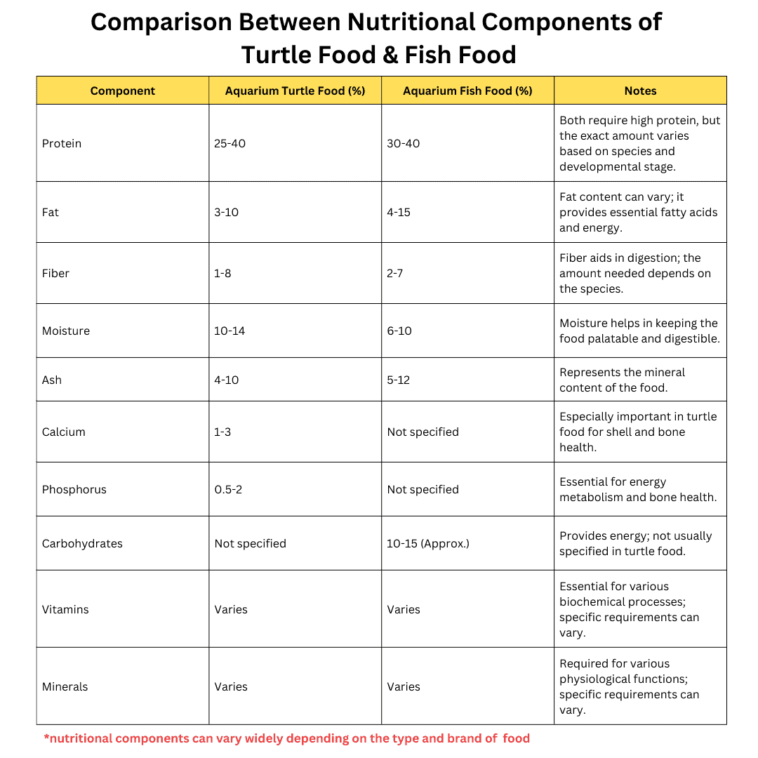 What Human Foods Can Turtles Eat? [Food Chart] – The Turtle Hub