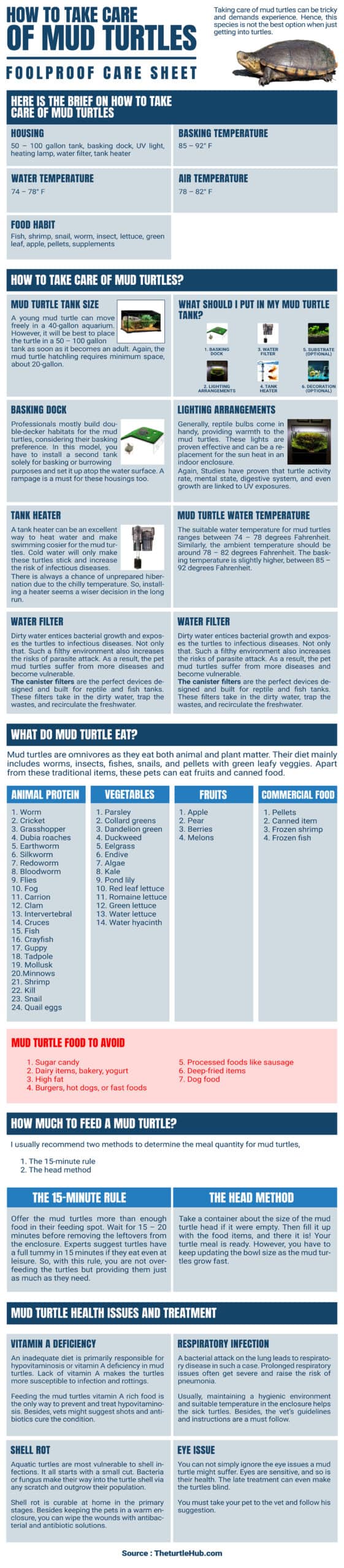 6 Types Of Pet Mud Turtles [Care Sheet, Pictures] – The Turtle Hub