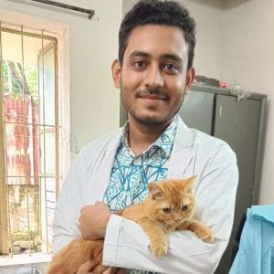 Outdoor Tortoise Enclosure Setup Guide: A To Z [Beginners Guide] – The Turtle Hub