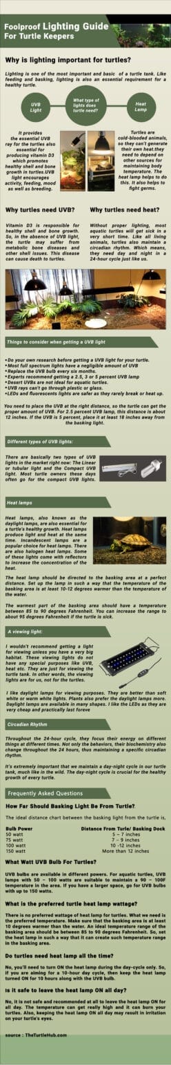 Turtle Basking Lights 101: The Simple Setup Every Beginner Needs – The ...