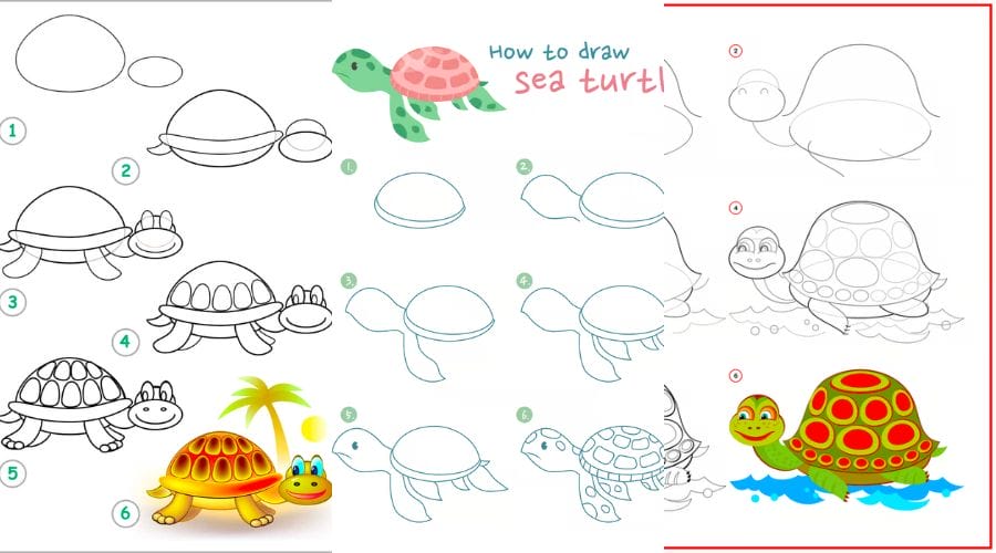 How To Draw A Turtle Step by Step [4 Methods] – The Turtle Hub