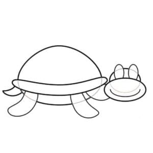 How To Draw A Turtle Step by Step [4 Methods] – The Turtle Hub