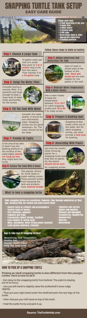 Ultimate Snapping Turtle Tank Setup Guide (Don’t Make These Mistakes ...