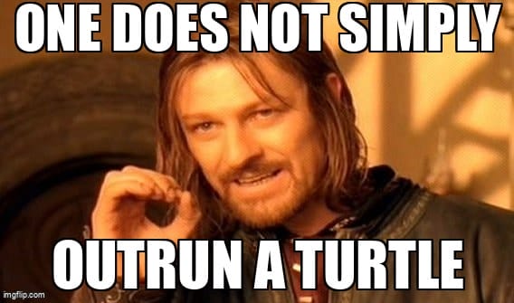 100 Funny Turtle Memes & AI Turtle Pics – The Turtle Hub