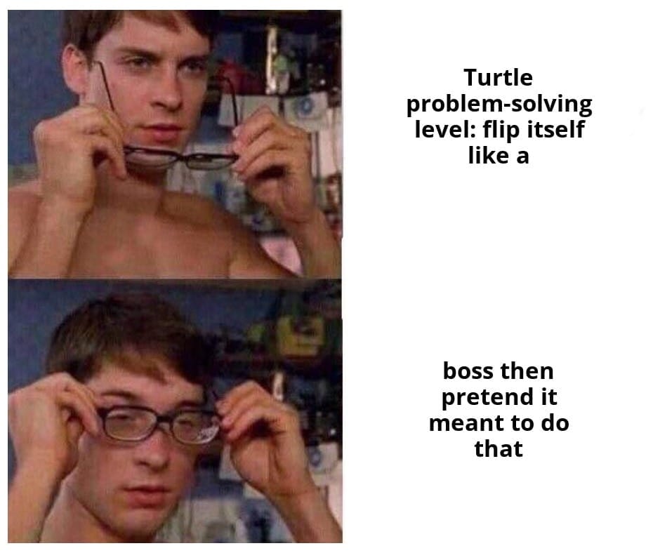 100 Funny Turtle Memes & AI Turtle Pics – The Turtle Hub
