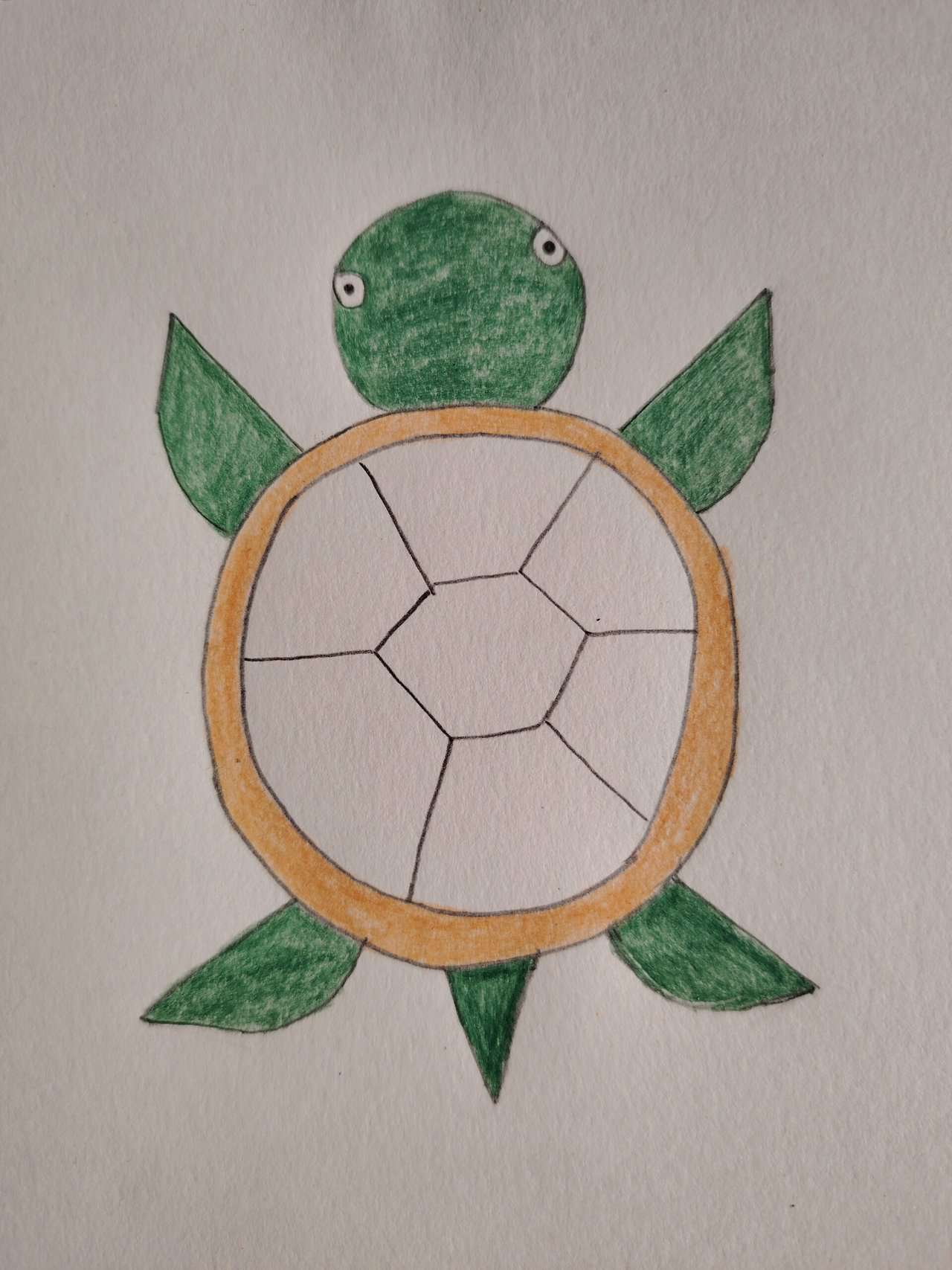 Turtle Drawing & Coloring Guide For kids [Step by Step] – The Turtle Hub