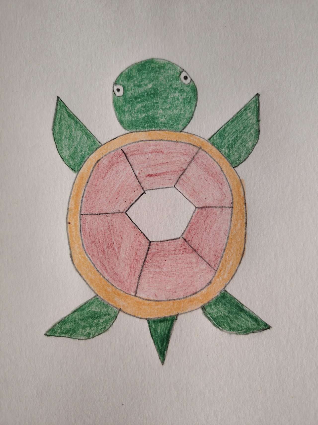 Turtle Drawing & Coloring Guide For kids [Step by Step] – The Turtle Hub