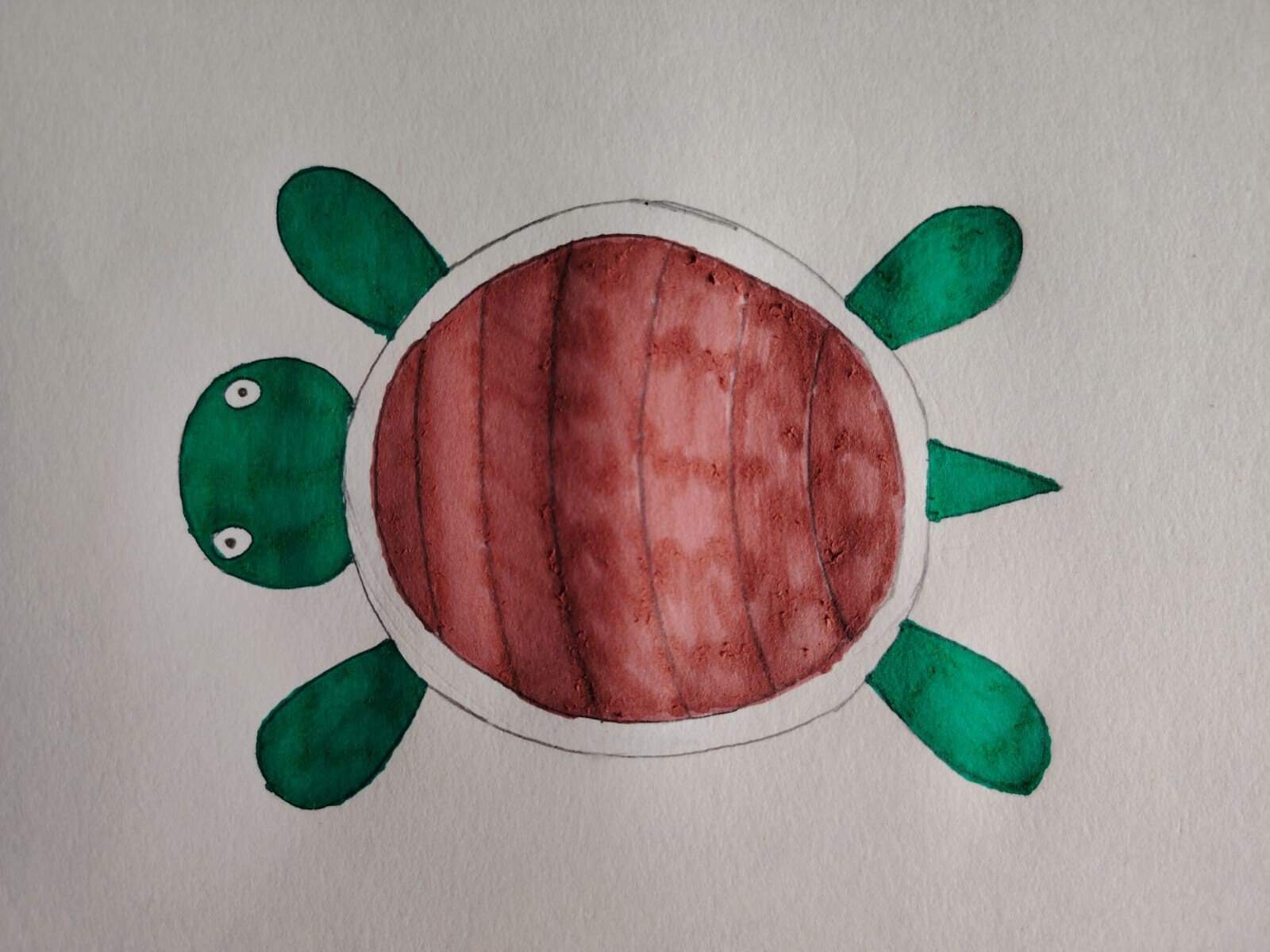 Turtle Drawing & Coloring Guide For kids [Step by Step] – The Turtle Hub