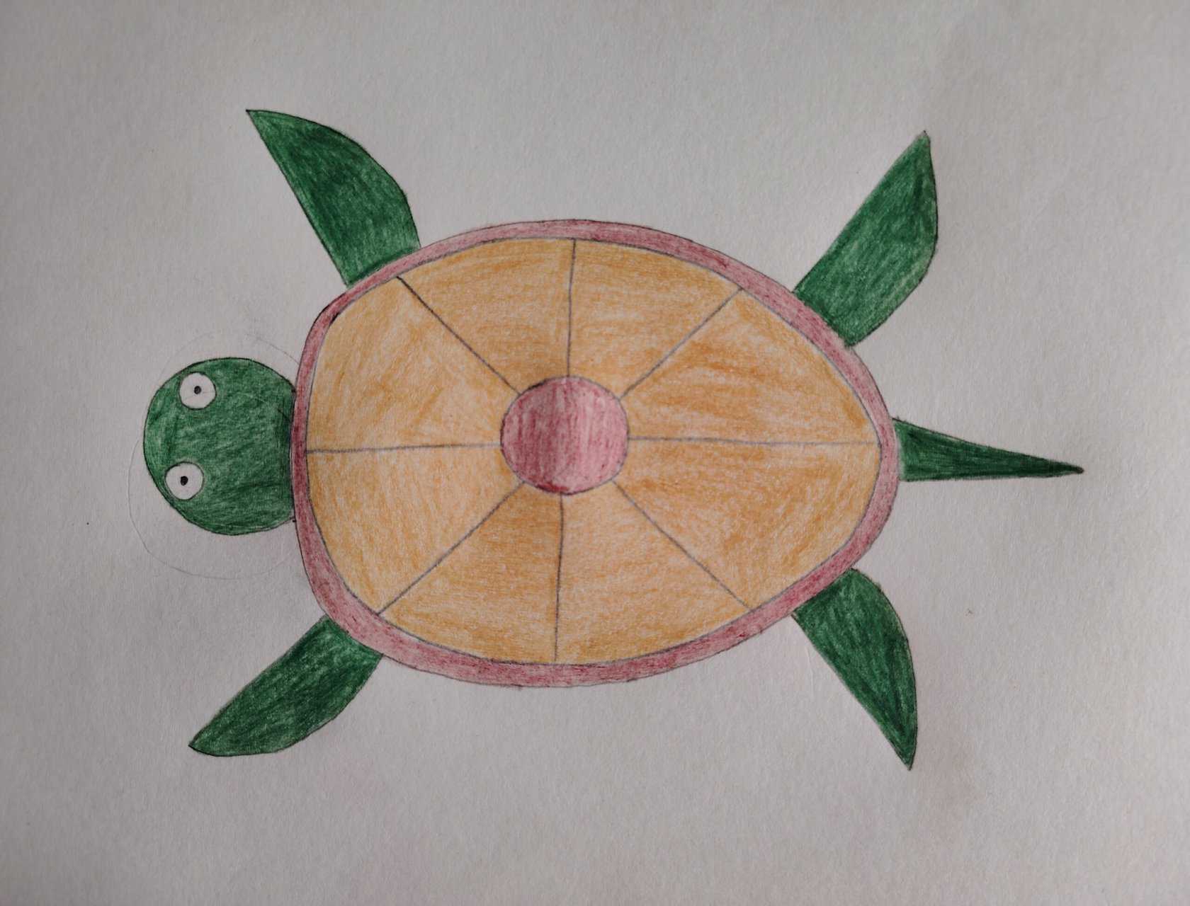 Turtle Drawing & Coloring Guide For kids [Step by Step] – The Turtle Hub
