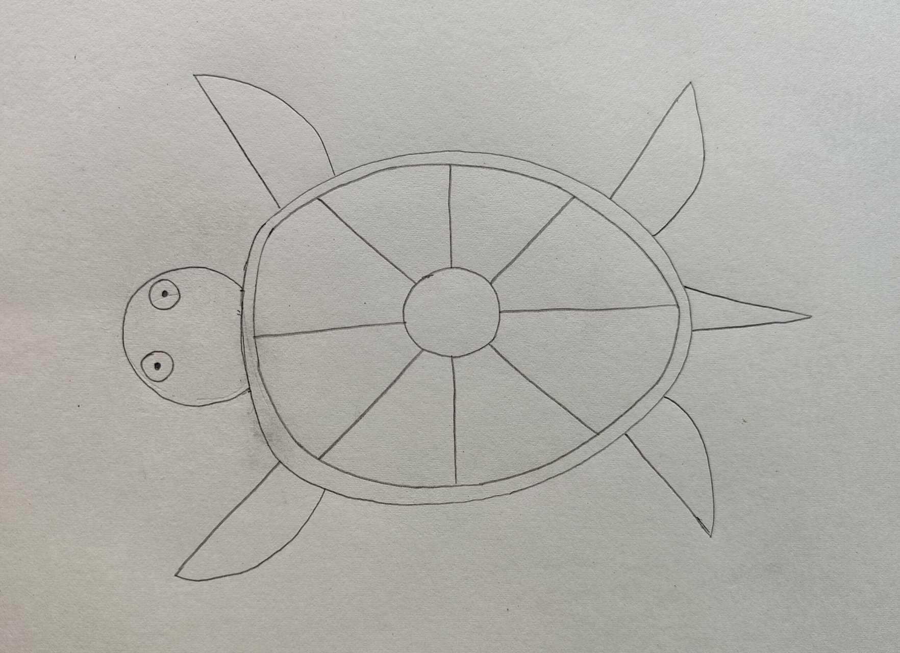 3 Simple and Cute Turtle Drawing Ideas for Kids: Step-by-Step Guide ...