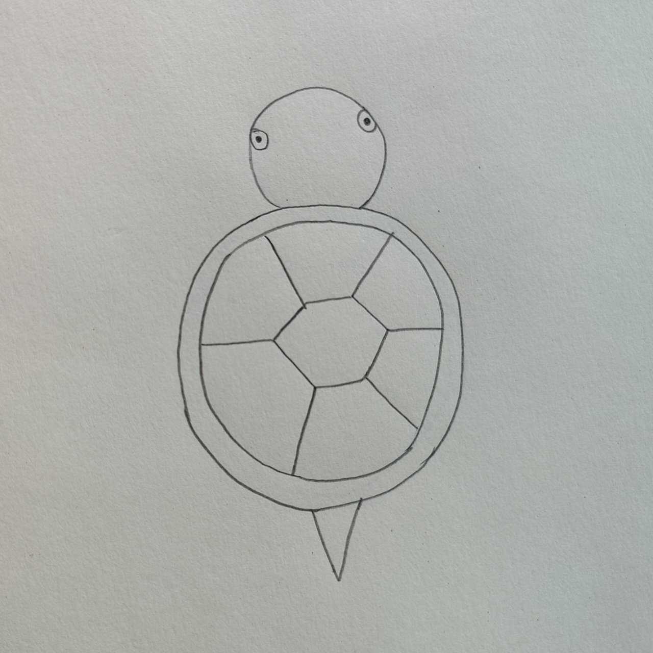 3 Simple and Cute Turtle Drawing Ideas for Kids: Step-by-Step Guide ...