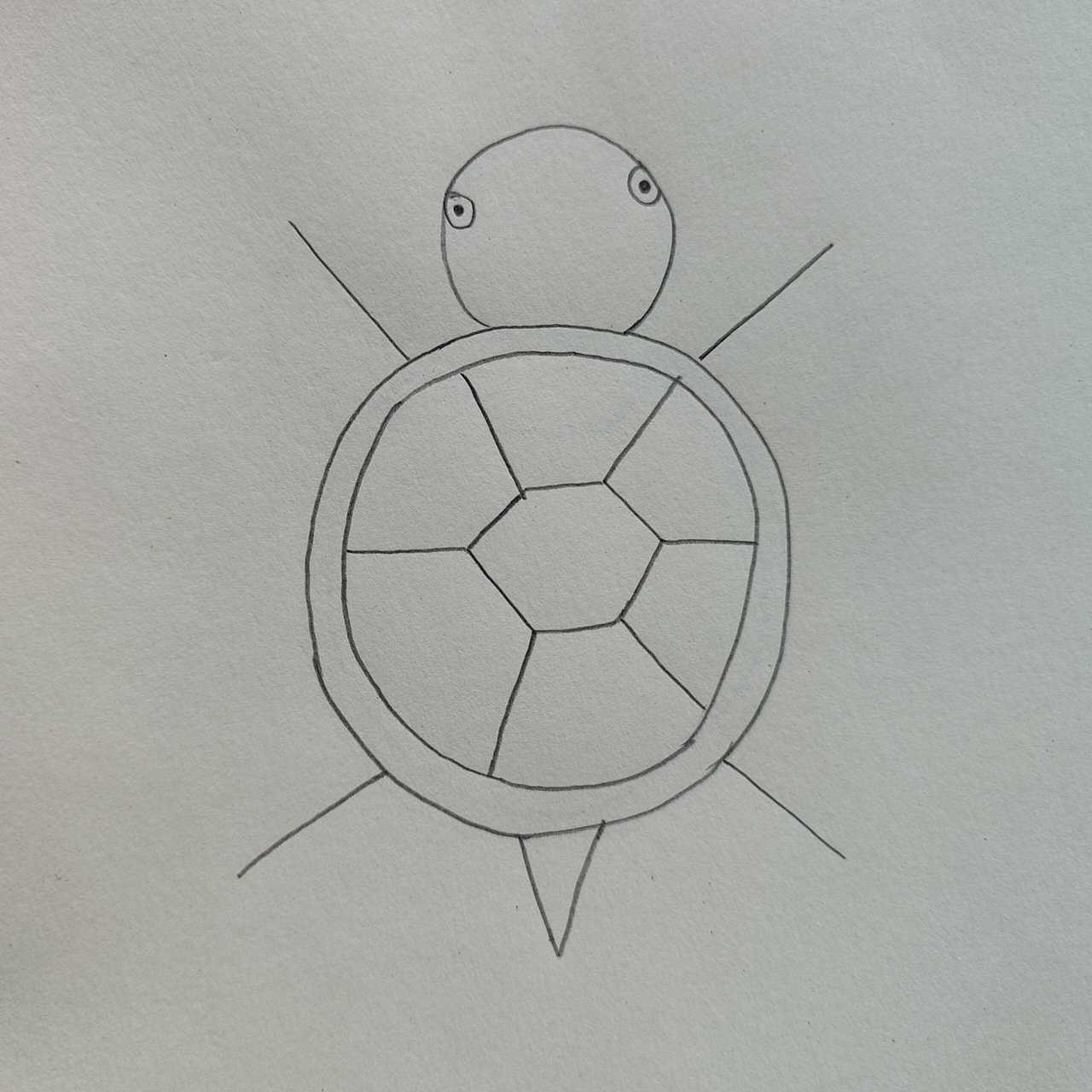 3 Simple and Cute Turtle Drawing Ideas for Kids: Step-by-Step Guide ...