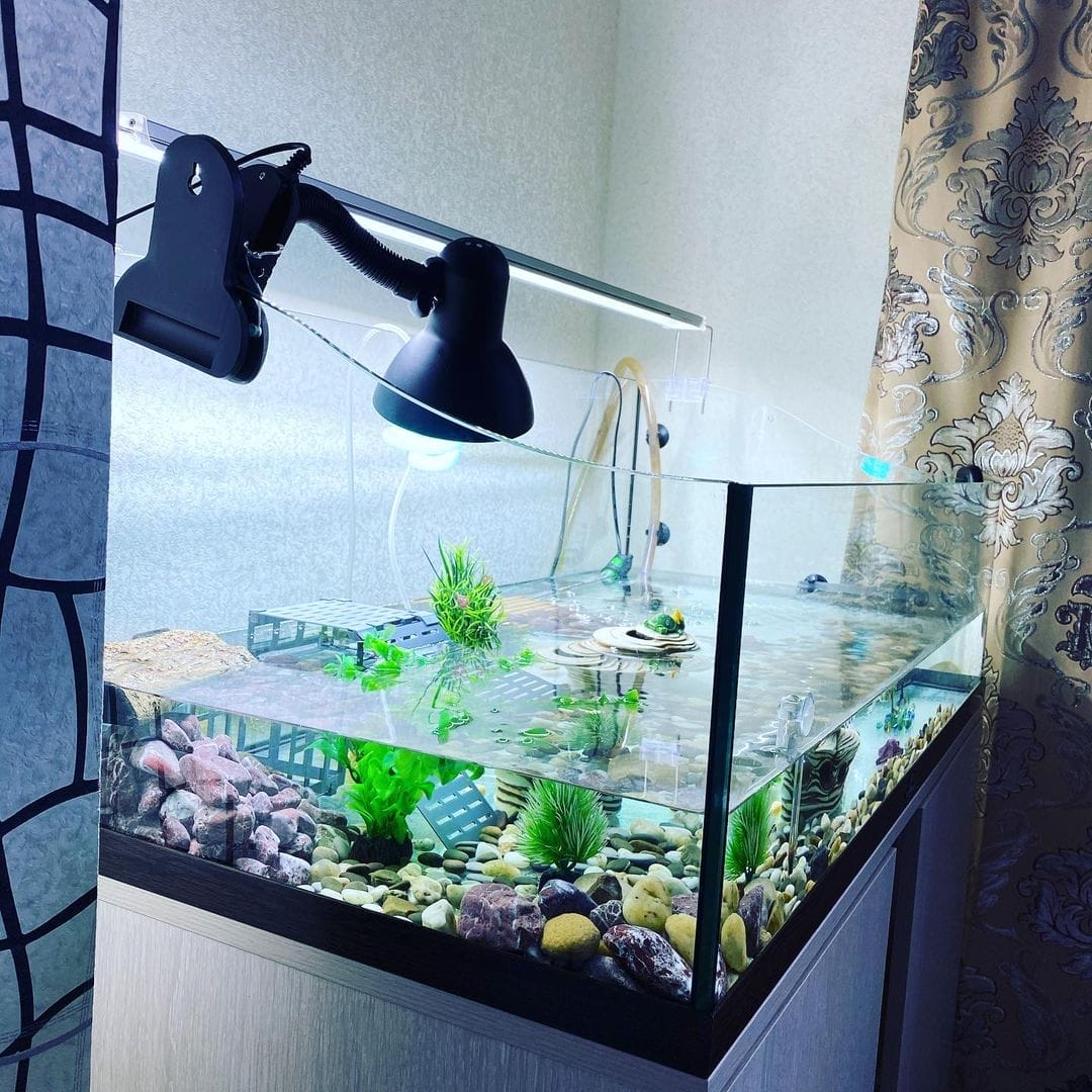 28 Turtle Tank Decoration Ideas You & Your Turtle Will Love – The ...
