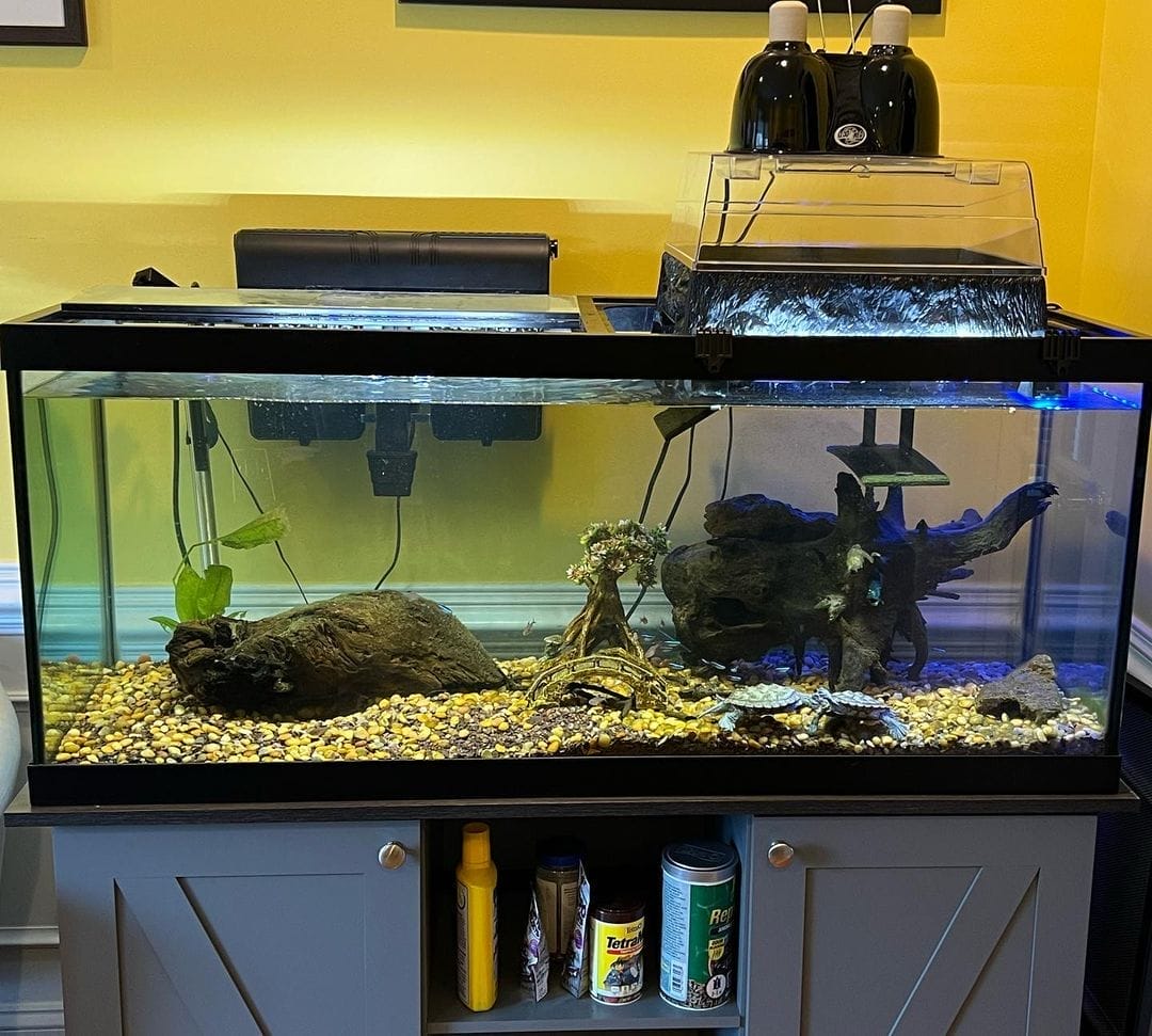 28 Turtle Tank Decoration Ideas You & Your Turtle Will Love – The ...