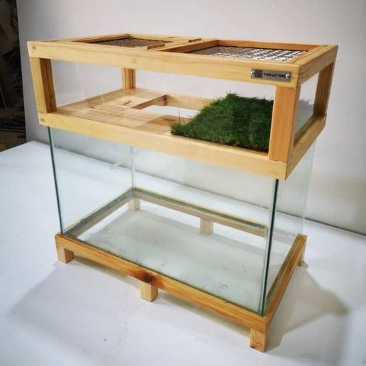 26 Diy Turtle Basking Area Ideas For A Perfect Sunning Spot The