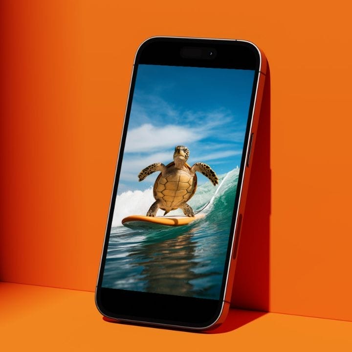 30 Best Turtle & tortoise Wallpapers for iPhone in 2024 (Free hD ...